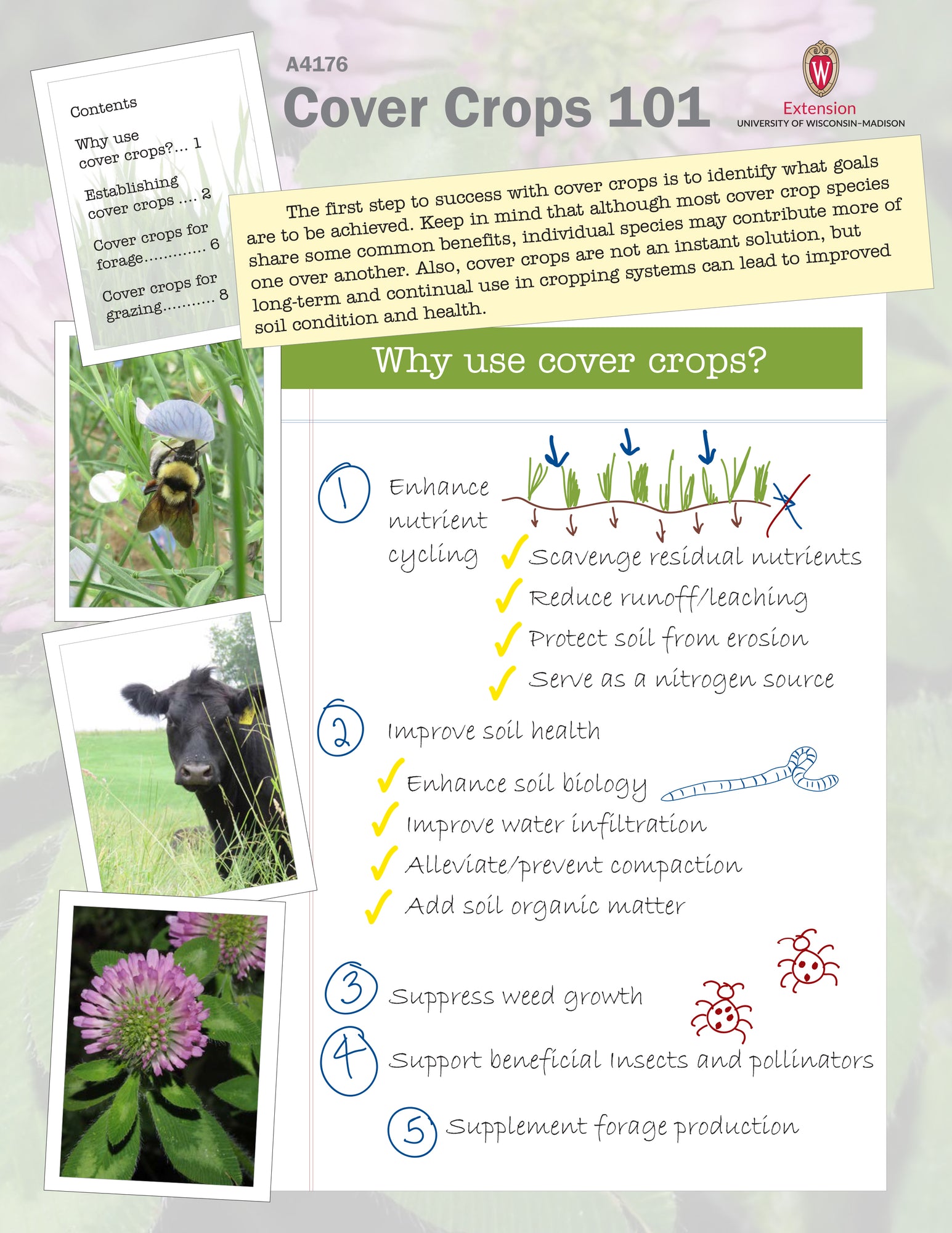Cover Crops 101 — The Learning Store
