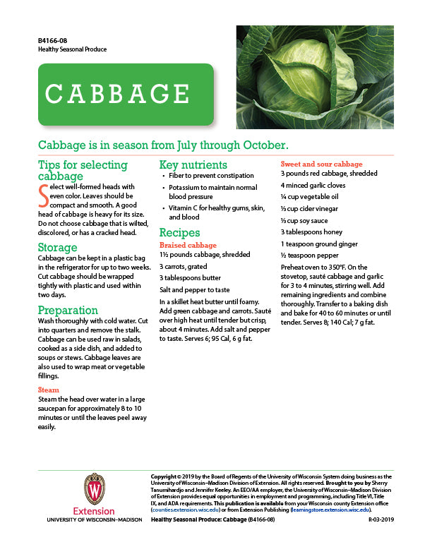 Healthy Seasonal Produce: Cabbage — The Learning Store