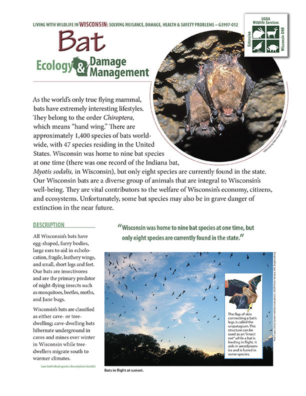 Bat Ecology and Damage Management — The Learning Store