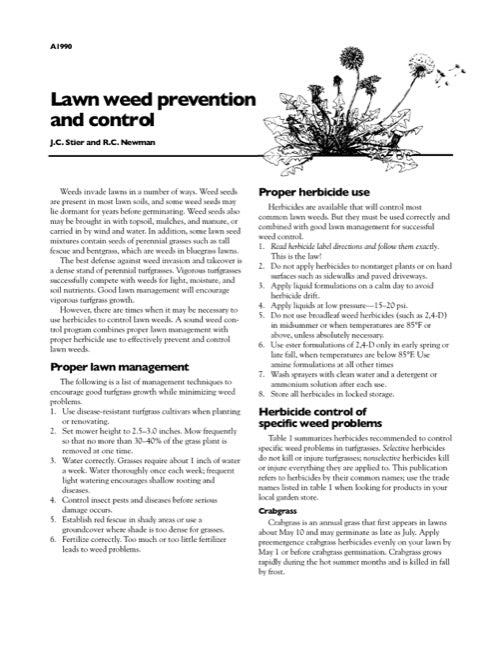 Lawn Weed Prevention and Control — The Learning Store