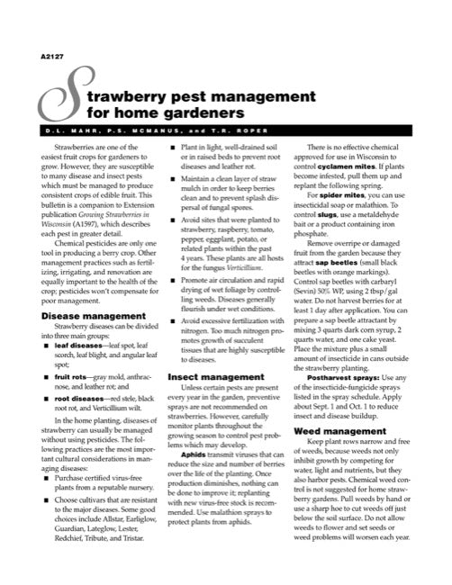 Strawberry Pest Management for Home Gardeners — The Learning Store