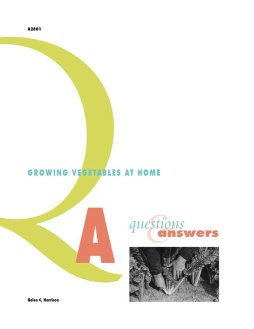Growing Vegetables at Home: Questions and Answers — The Learning Store