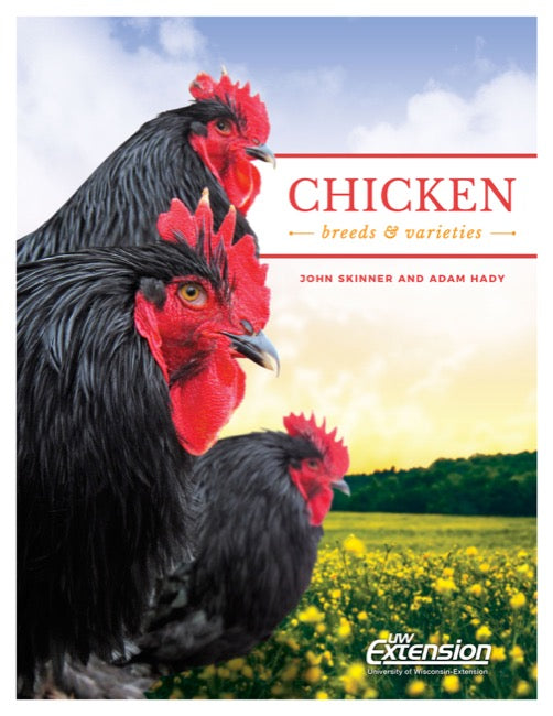 Chicken Breeds and Varieties — The Learning Store