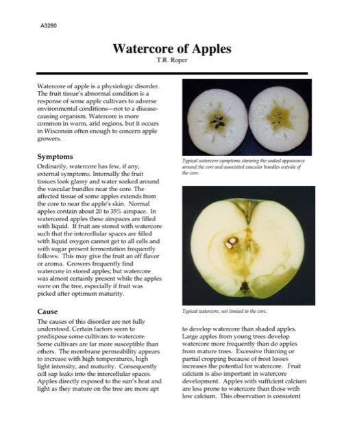 Watercore of Apple — The Learning Store