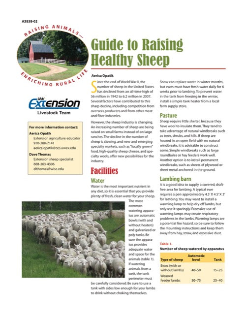 Guide to Raising Healthy Sheep — The Learning Store
