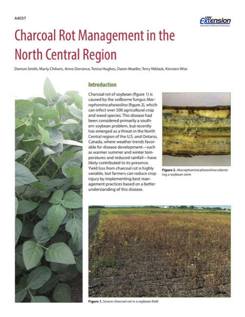 Charcoal Rot Management in the North Central Region — The Learning Store
