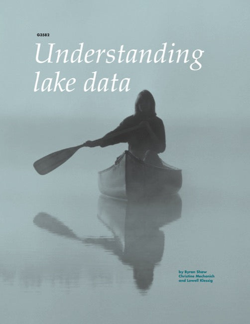 Understanding Lake Data — The Learning Store