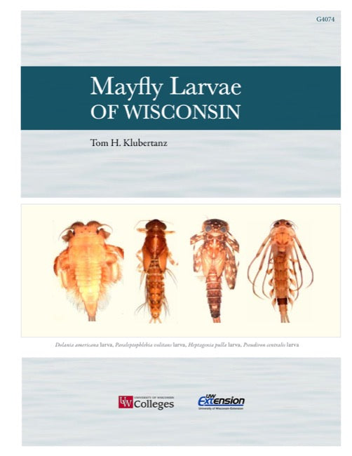 Mayfly Larvae of Wisconsin — The Learning Store
