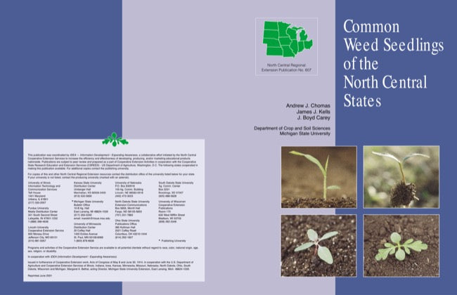 Seedling Identification Guide